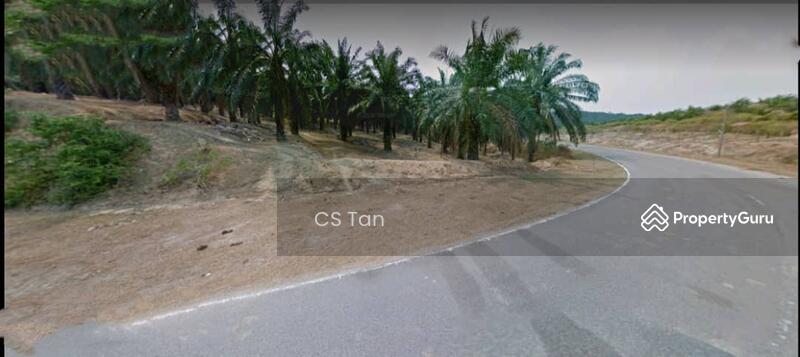 Negeri Sembilan Kuala Pilah Johol 475 acres Palm Oil Land for SALE ...