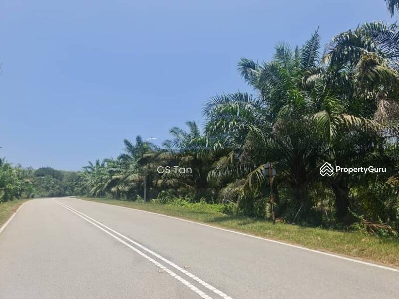 Negeri Sembilan Kuala Pilah Johol 475 acres Palm Oil Land for SALE ...