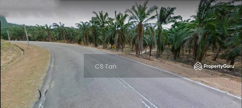 Negeri Sembilan Kuala Pilah Johol 475 acres Palm Oil Land for SALE ...