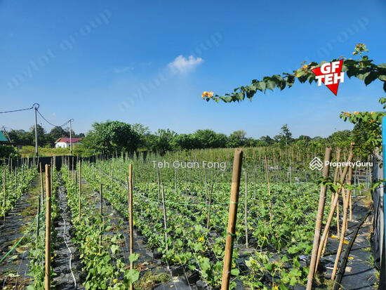 4.11 acres Agricultural Land | Zoning Residential | Junjong | Kulim ...