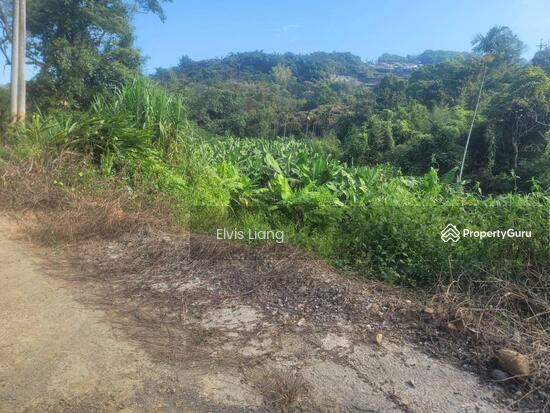 Agricultural Land for Sale in Taman Kahang Baru (Kahang) - Elvis Liang