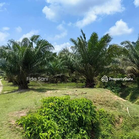 Agriculture land at Temoh, Temoh, Perak, , , Agricultural Land For Sale ...