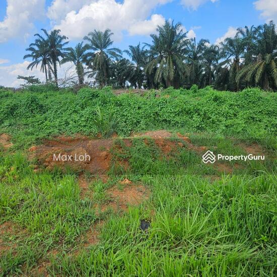 Seelong, Agricultural Land, 2.993 Acre, Senai, Kulai, Senai, Kulai ...
