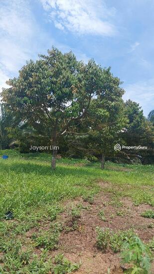 Agriculture land at Kota Tinggi, Kota Tinggi, Johor, , , Agricultural ...