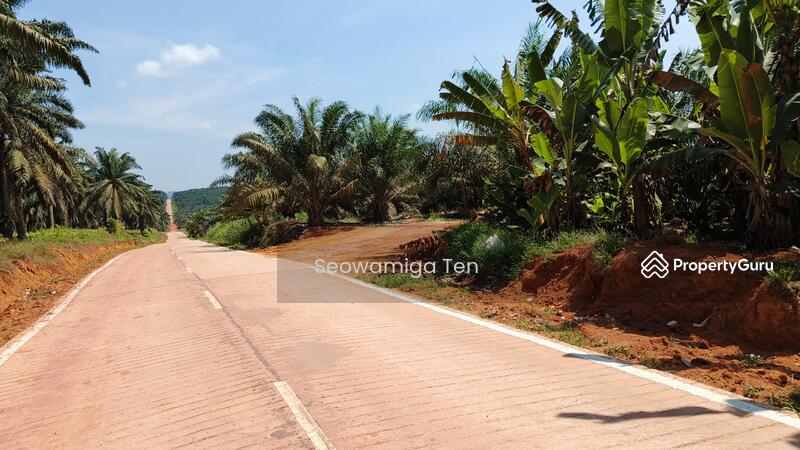 (Beside Concreate Road) 116 Acre Palm Oil Land At Paloh,Johor, Chamek ...