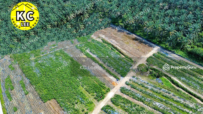 8.54 Acres Agricultural Land | Sungai Kechil , Nibong Tebal, Sungai ...