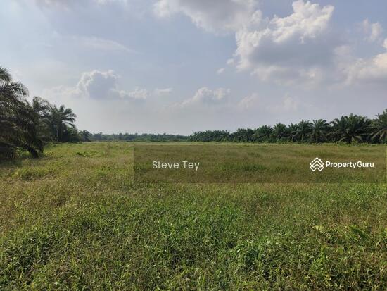 Agricultural Land for Sale in Rengam (Johor) - Steve Tey
