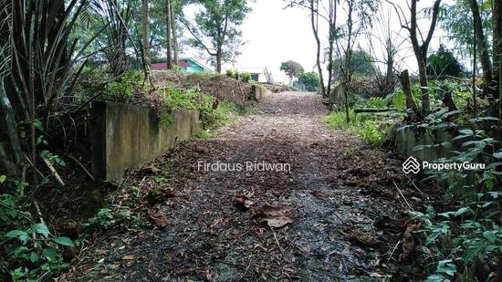 Residential land at Kampung Merbau Sempak, Lorong Gajah, Kampung Merbau ...