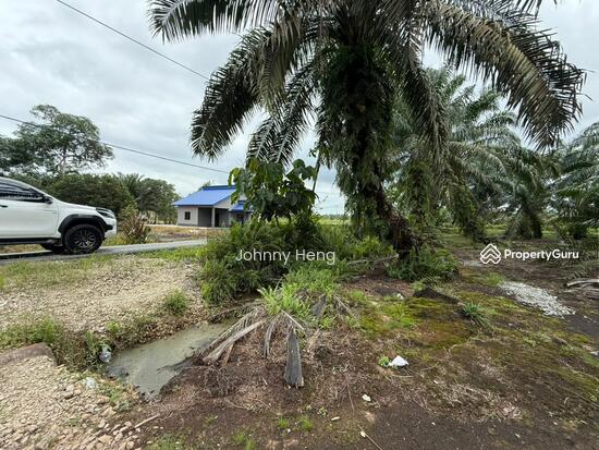 Pontian Agriculture Land, Pontian Agriculture Land Sale Johor Bahru ...