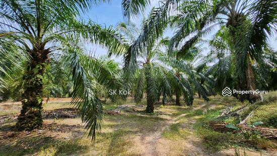 Senggang Manong Kuala Kangsar, Kampung Senggang, Manong, Perak ...