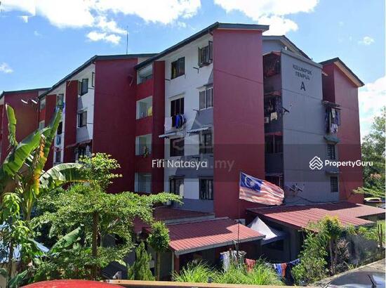 Kelumpuk Tempua, Kelompok Tempua, KL City Centre, Kuala Lumpur, 2 ...