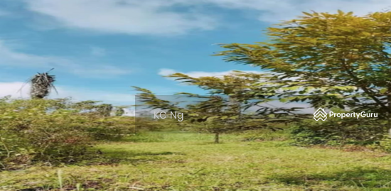 Cheroh, Raub, Pahang Durian Plantation, Cheroh, Raub, Pahang ...