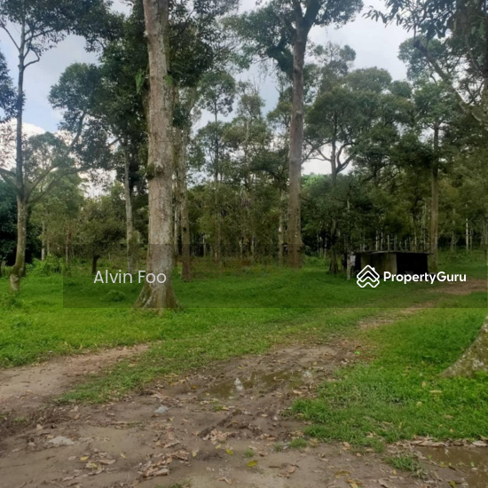 Agriculture Land 8 acres In Semenyih, Jalan Broga, Taman Tasik Semenyih ...