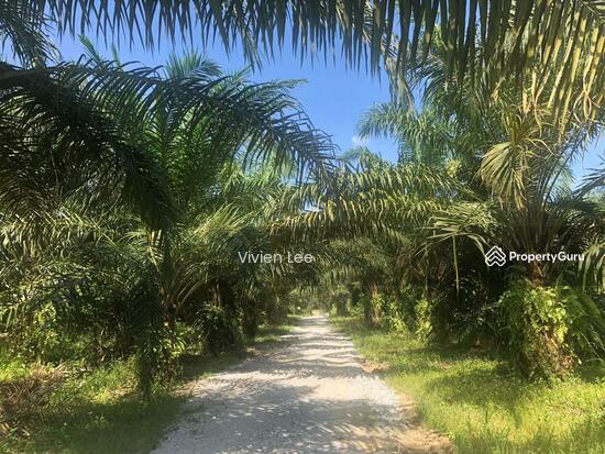 Padang Gajah, Sungai Tinggi, Trong, Perak, Padang Gajah, Sungai Tinggi ...