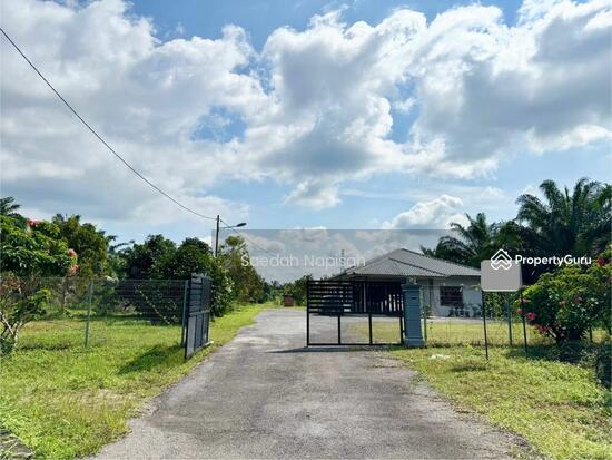 Agricultural Land for Sale in Peradin (Kukup) - Saedah Napisah