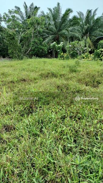 Properties for Sale - Raja M, Aug 2025