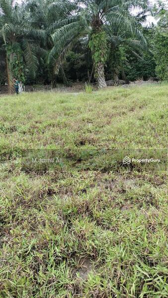 Properties for Sale - Raja M, Aug 2025