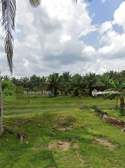 Residential Land for Sale in Taman Lian Seng (Kluang) - Shereen Tan