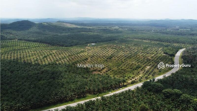 Mersing Beside Main Road 178Acres Oil Palm Land untuk Untuk Dijual - RM ...