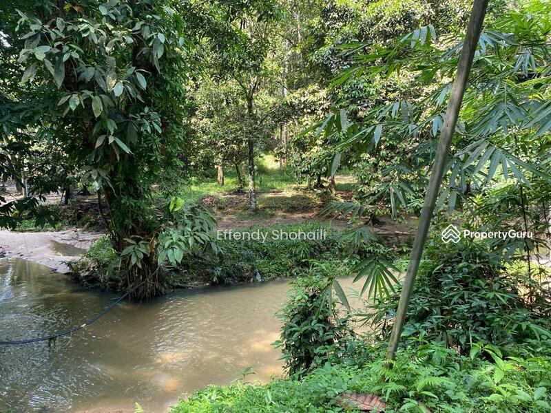 BUKIT LAGONG SELAYANG TANAH PERTANIAN untuk Untuk Dijual - RM 1,000,000 ...