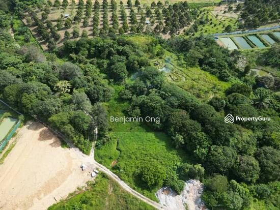 Kangkar Pulai Kangkar Pulai . Kangkar Pulai Kangkar Pulai . Kangkar ...