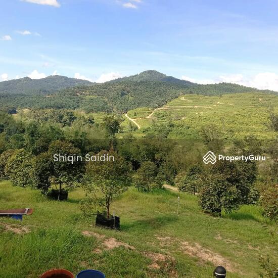 Kalumpang, Taman Kalumpang, Kalumpang, Selangor, , , Agricultural Land ...