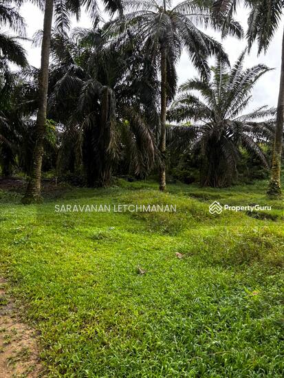 Seelong Senai Johor, Taman Perindustrian Senai, Senai, Johor ...