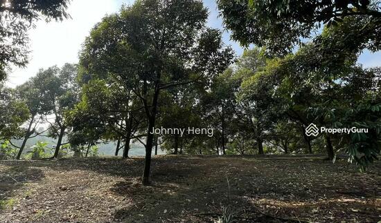 Kulai Sedenak Durian Land Sale Johor, Kulai Sedenak Durian Land For ...