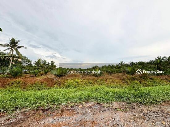 Benut untuk Untuk Dijual - RM 370,000 (2024) | PropertyGuru Malaysia