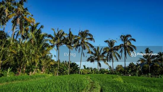Saleng, Pekan Saleng, Senai, Johor, , , Agricultural Land For Sale, by ...