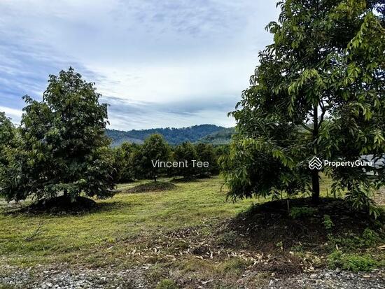 Agricultural Land for Sale in Kampung Acheh (Kuala Pilah) - Vincent Tee