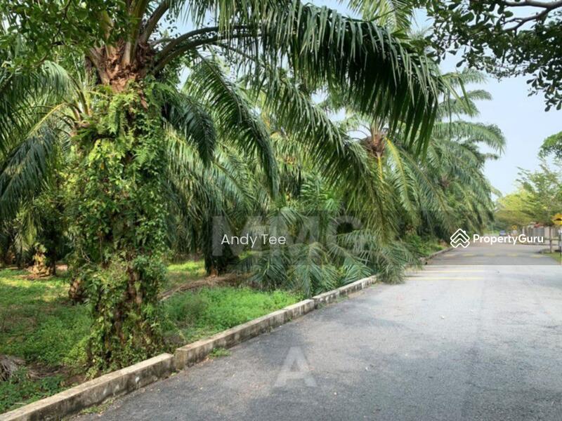 Industrial Land for Sale in Kampung Teluk Panglima Garang (Telok ...