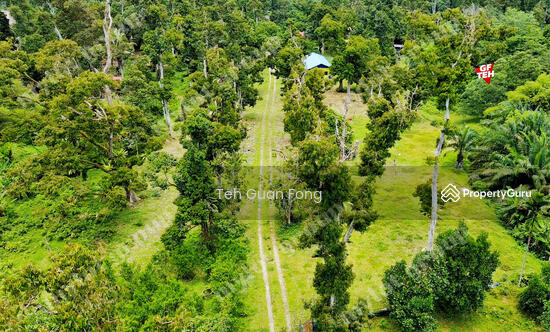 4.49 acres Durian farm | Agricultural Land | Located border Penang and ...