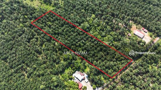 Agricultural Land for Sale in Parit Yusof (Batu Pahat) - AIRUL NIZAM