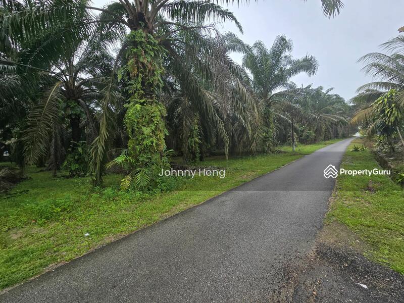 Agriculture Land Kampung Semanggar Kota Tinggi, Kota Tinggi, Johor ...