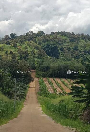 Pagoh Pagoh Pagoh Pagoh Pagoh Pagoh Pagoh Pagohs, Taman Pagoh Jaya ...