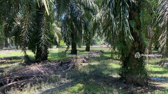 19 acres Air Kuning Town Batang Padang Tapah Chenderiang Kampar Bidur ...