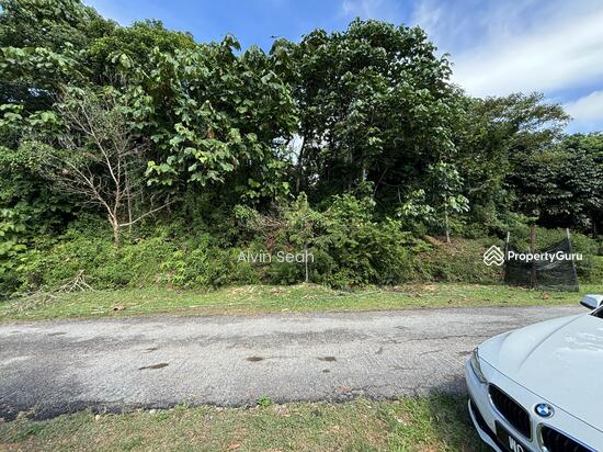 Agricultural Land for Sale in Kampung Tampin Ka (Linggi) - Alvin Seah