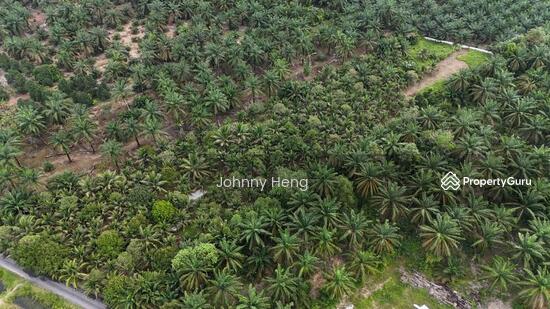 Benut Land Pontian For Sale Johor Bahru Agriculture Land, Pontian Land ...