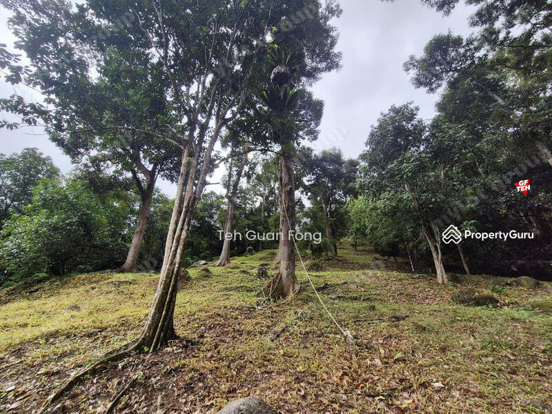 6.35 acre Agricultural Land | Durian Farm | Sungai Lembu | BM | Penang ...