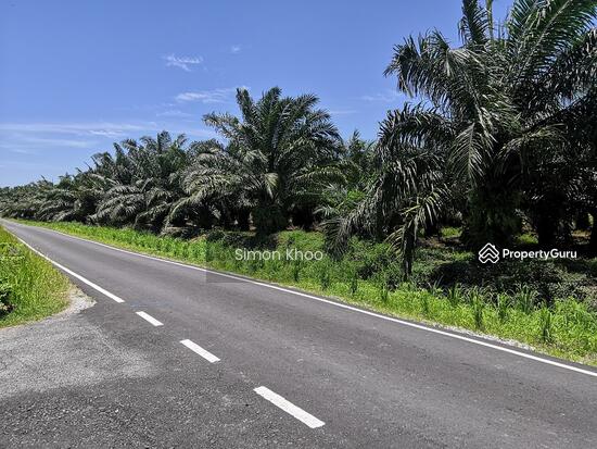Assam Jawa Mainroad (Kuala Selangor) untuk Untuk Dijual - RM 3,200,000 ...