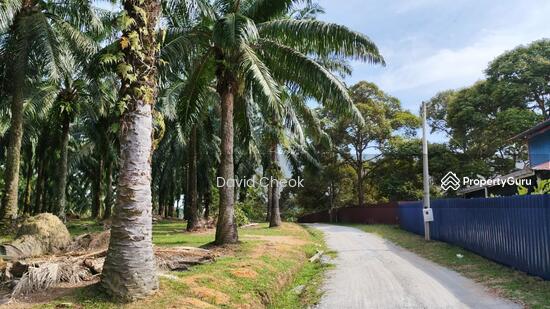 Agricultural Land for Sale in Rembau (Negeri Sembilan) - David Cheok