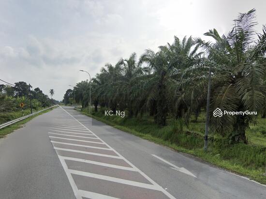 Agricultural Land for Sale in Kampung Seri Langkap (Changkat Jong) - KC Ng