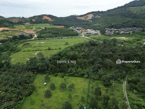 Agricultural Land for Sale in Junjong (Kedah) - Derrick Ng