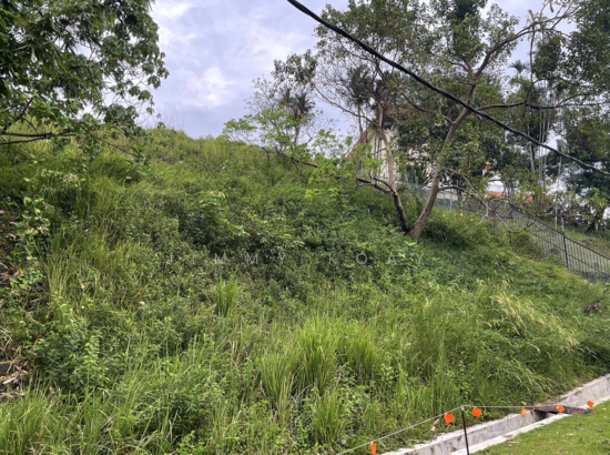 Residential Land for Sale in Taman Duta (Bukit Tunku (Kenny Hills ...