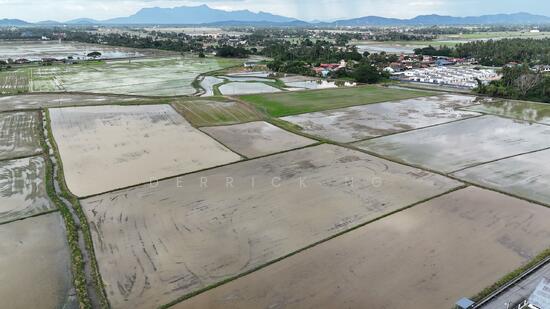 Agricultural Land for Sale in Taman Penaga (Penaga) - Derrick Ng