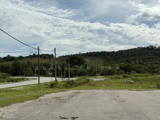 Agricultural Land for Sale in Kampung Muhibbah (Chenderiang) - Zuraidah Dan