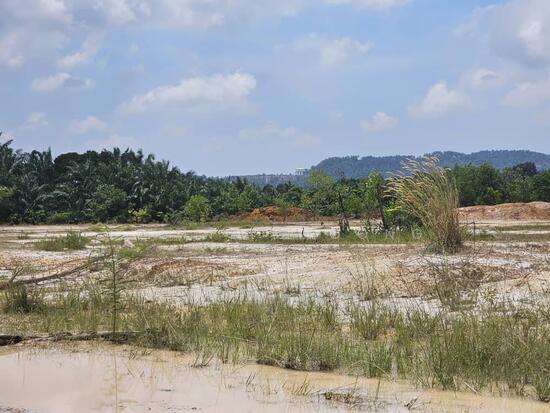 Industrial Land for Sale in Pulau Indah (Klang) - Celine Choong