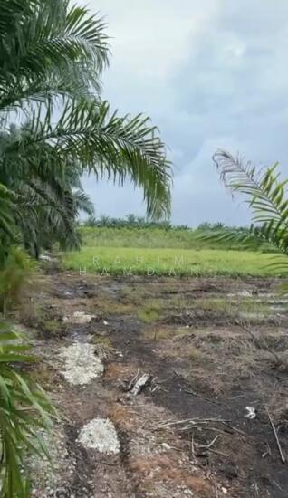 Kg Batu 7, Johan Setia, Klang untuk Untuk Dijual - RM 2,300,000, Jan 2026