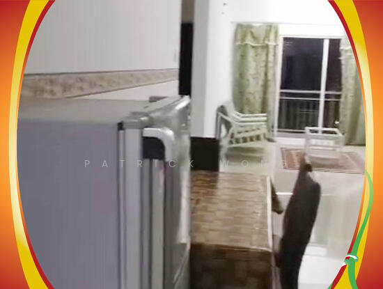 Condominium for Rent at Cova Suites - Patrick Wong
